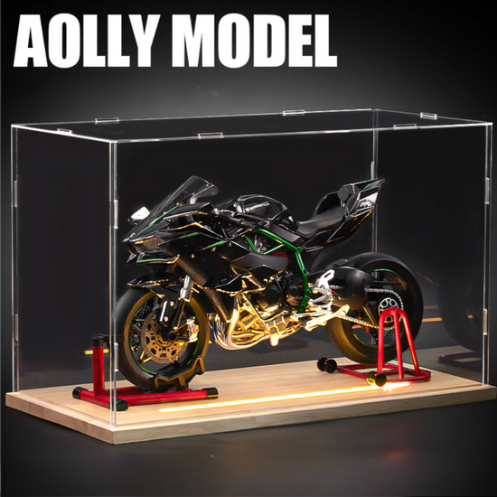 TheNanoRides - Premium Models – The Nano Rides